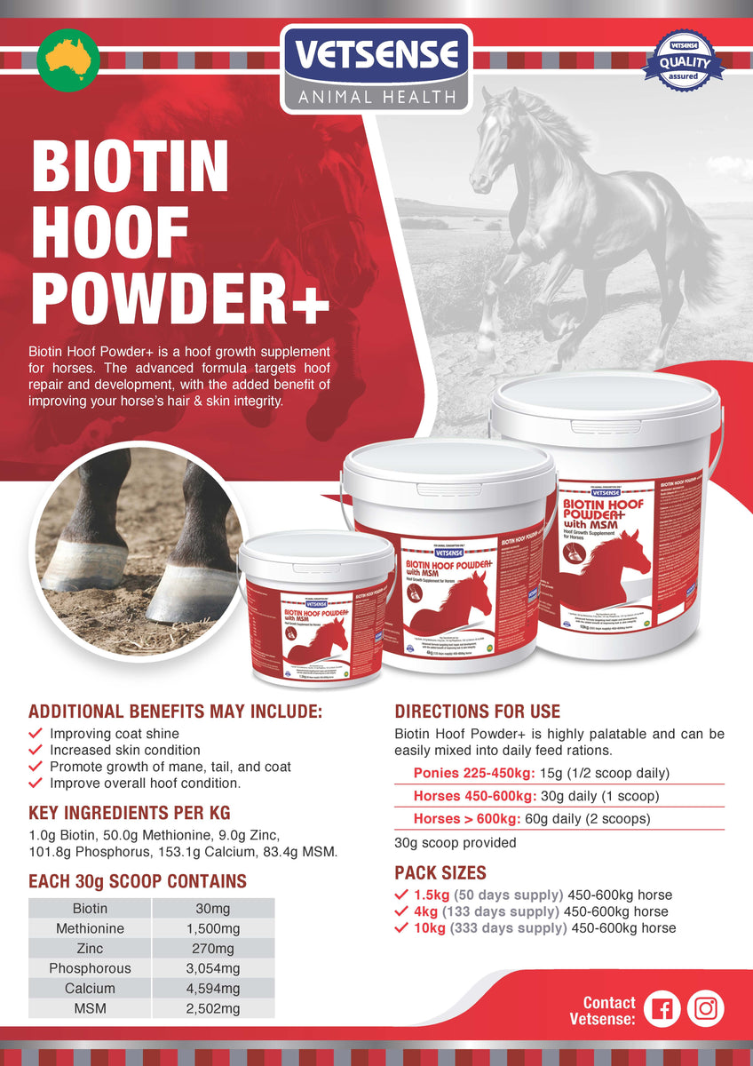 Vetsense Biotin Hoof Powder+ with MSM – Saddleworld
