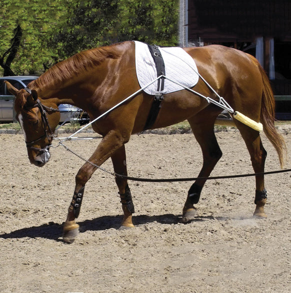 Training – Saddleworld