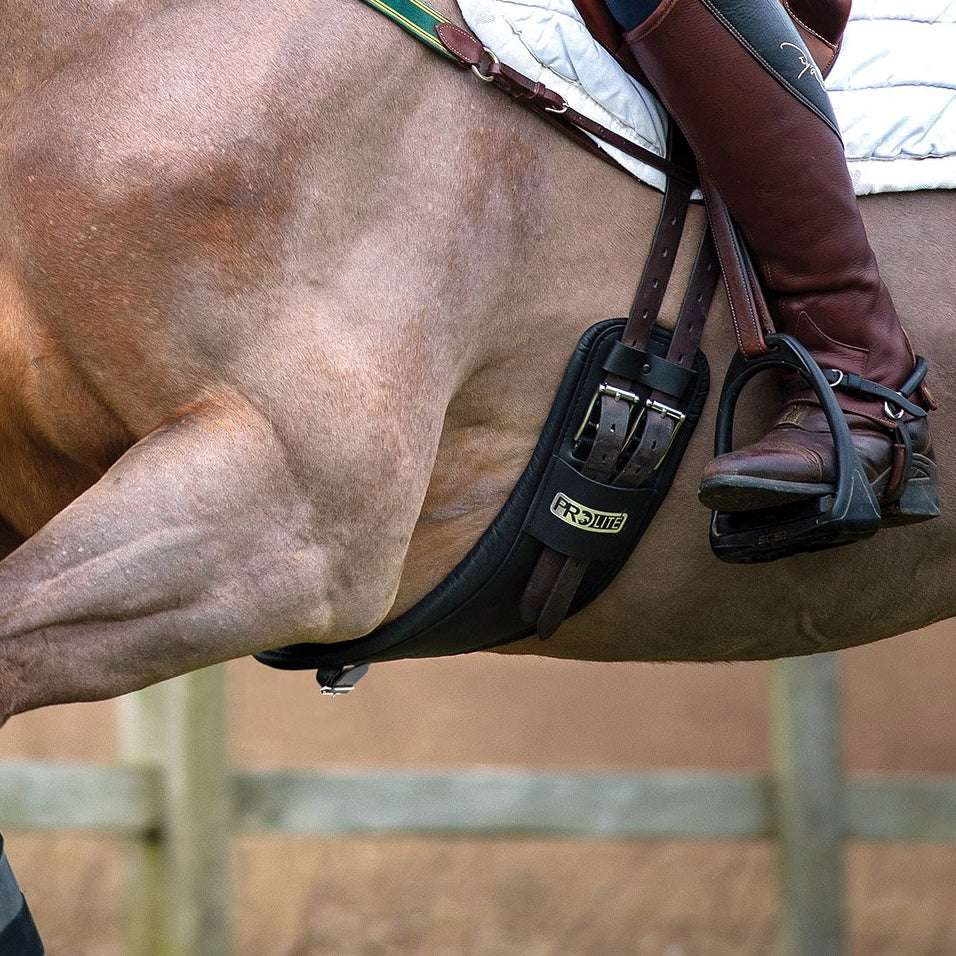 Prolite Short Girth Narrow Gauge – Saddleworld