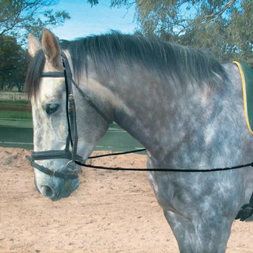 Grainge Elastic Chambon – Saddleworld