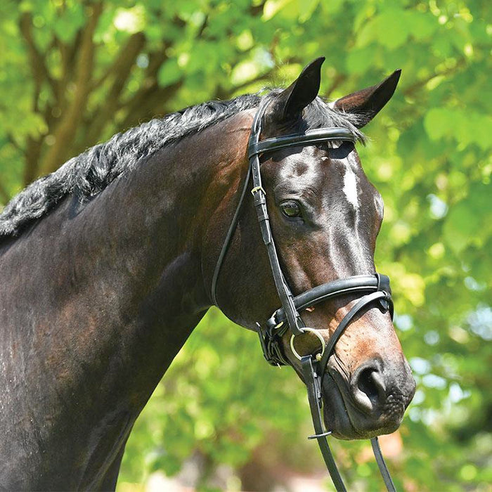 Bridlewear – Tagged "Bridles" – Saddleworld