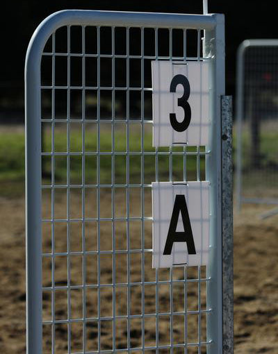 Ferrari Show Jumping Number Set – Saddleworld