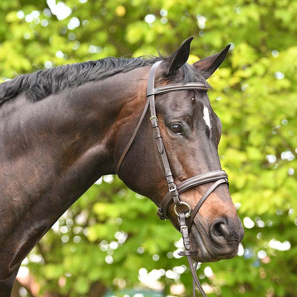 Bridlewear – Tagged "Bridles" – Saddleworld